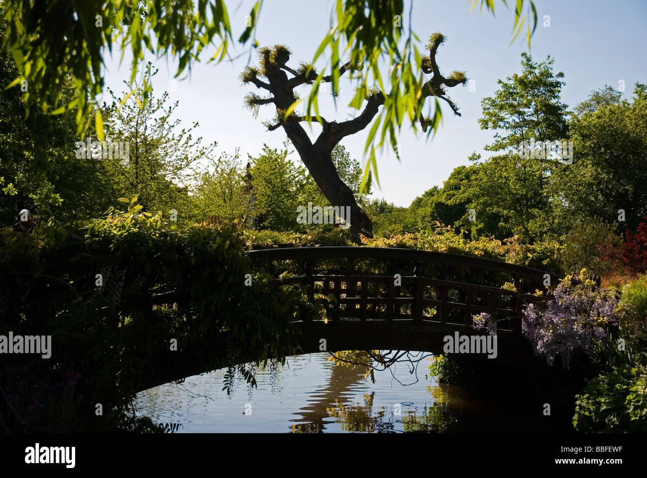 Bridge in The Regent's Park London England UK Stock Photo - Alamy