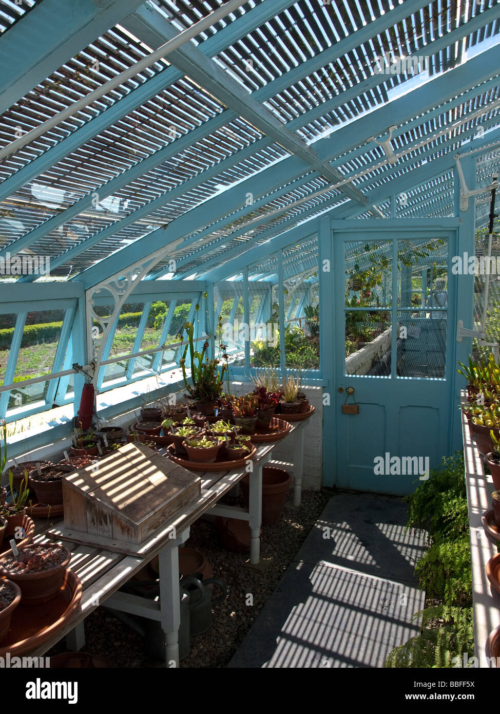 Down house darwin greenhouse hi-res stock photography and images - Alamy