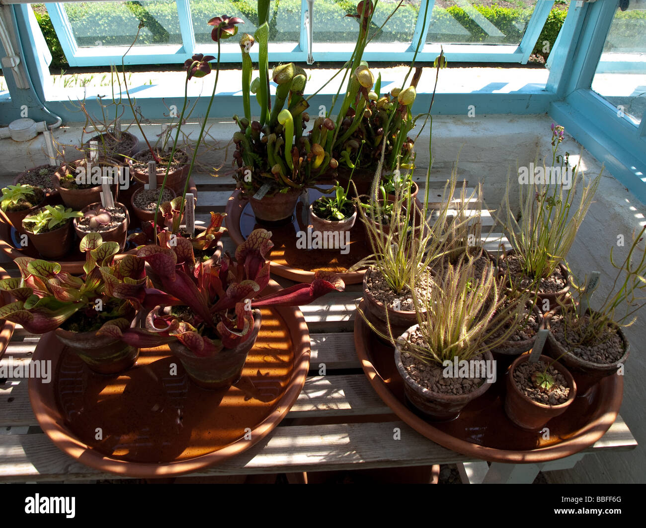 Charles Darwins greenhouse at Down House, Downe, Kent, UK Stock Photo ...