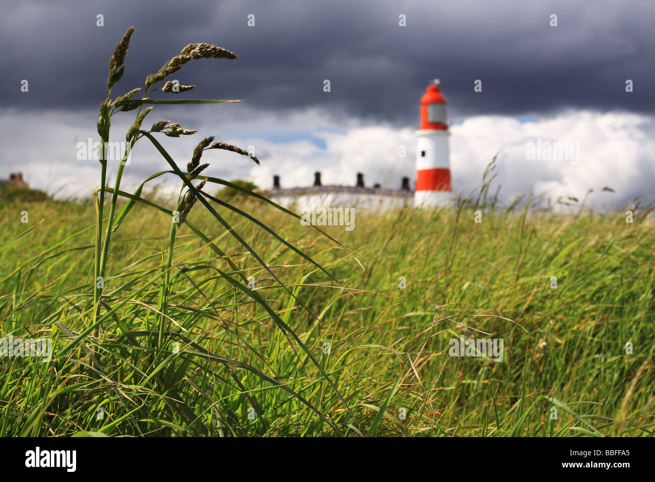 Souter lighthouse hi-res stock photography and images - Alamy