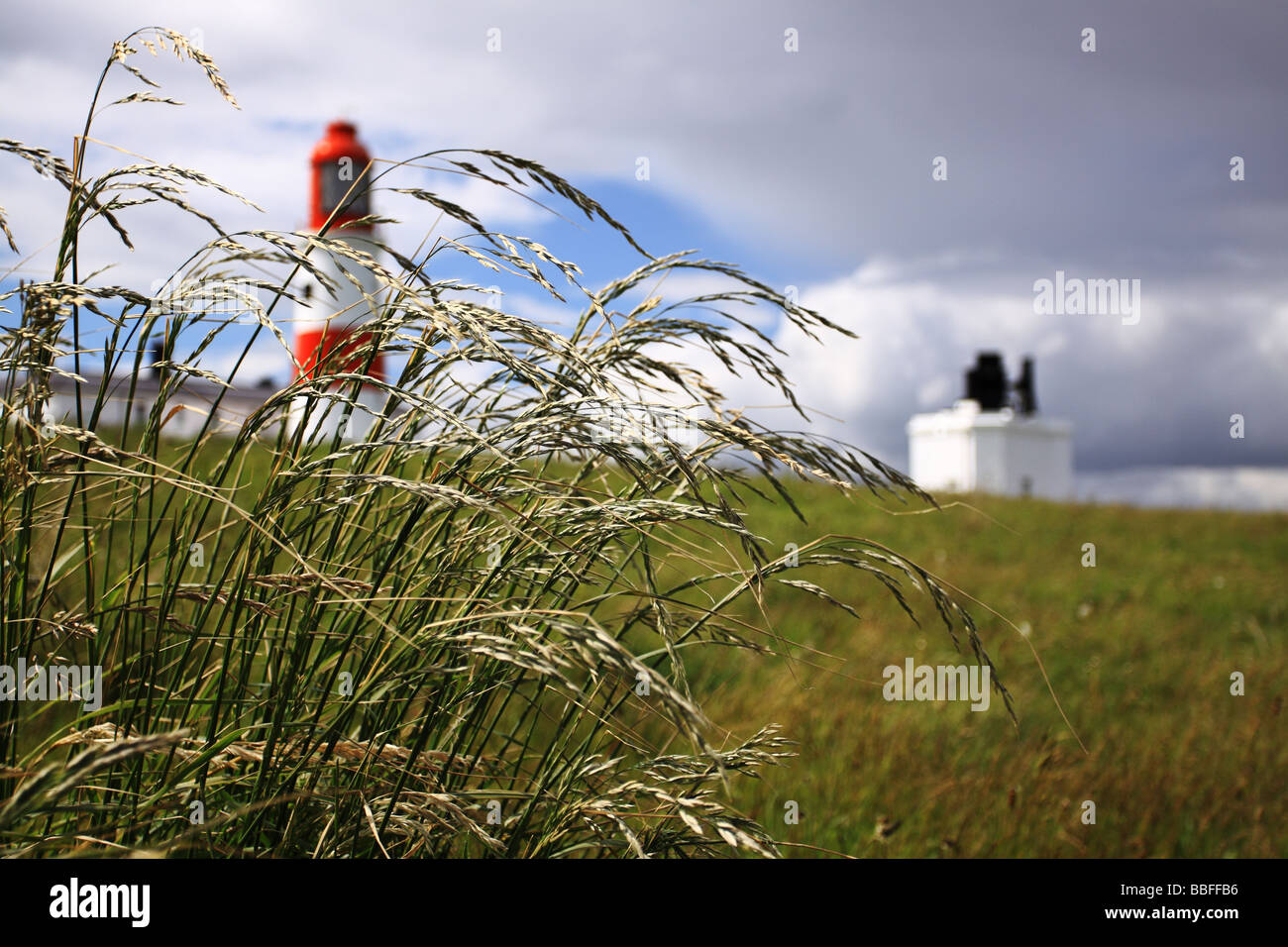 Souter lighthouse and foghorn hi-res stock photography and images - Alamy