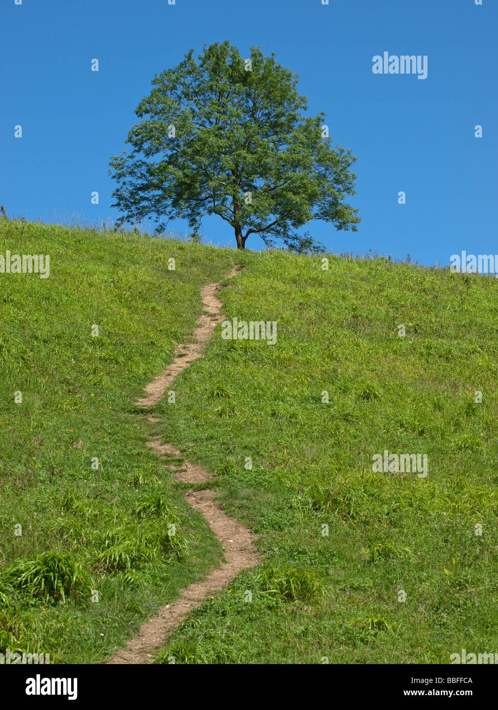 Fullstop hi-res stock photography and images - Alamy