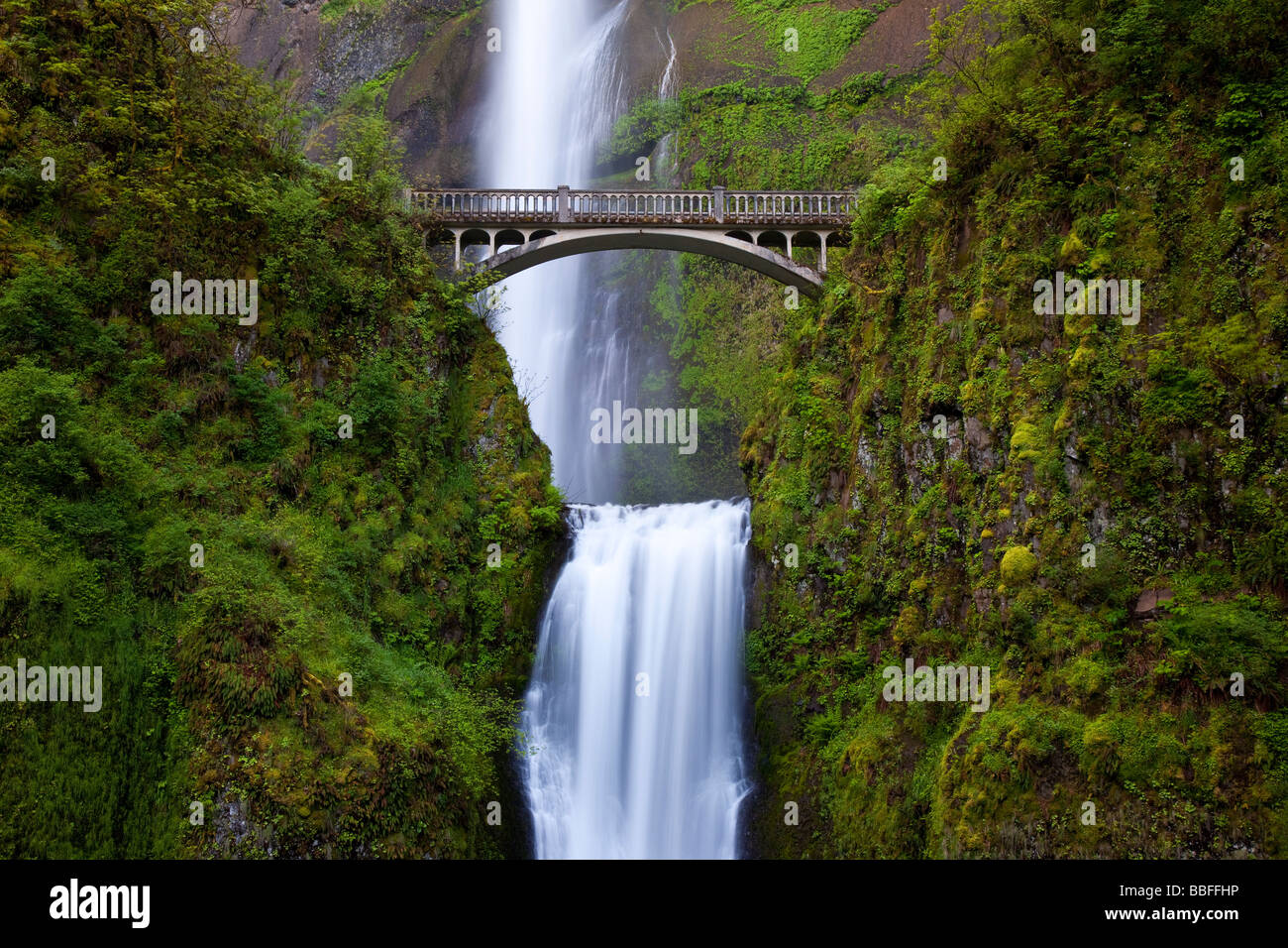 Bridge multnomah falls hi-res stock photography and images - Alamy