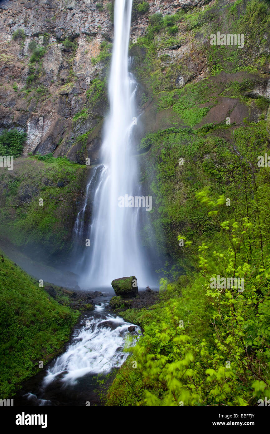 Waterfalls oregon cascades hi-res stock photography and images - Alamy