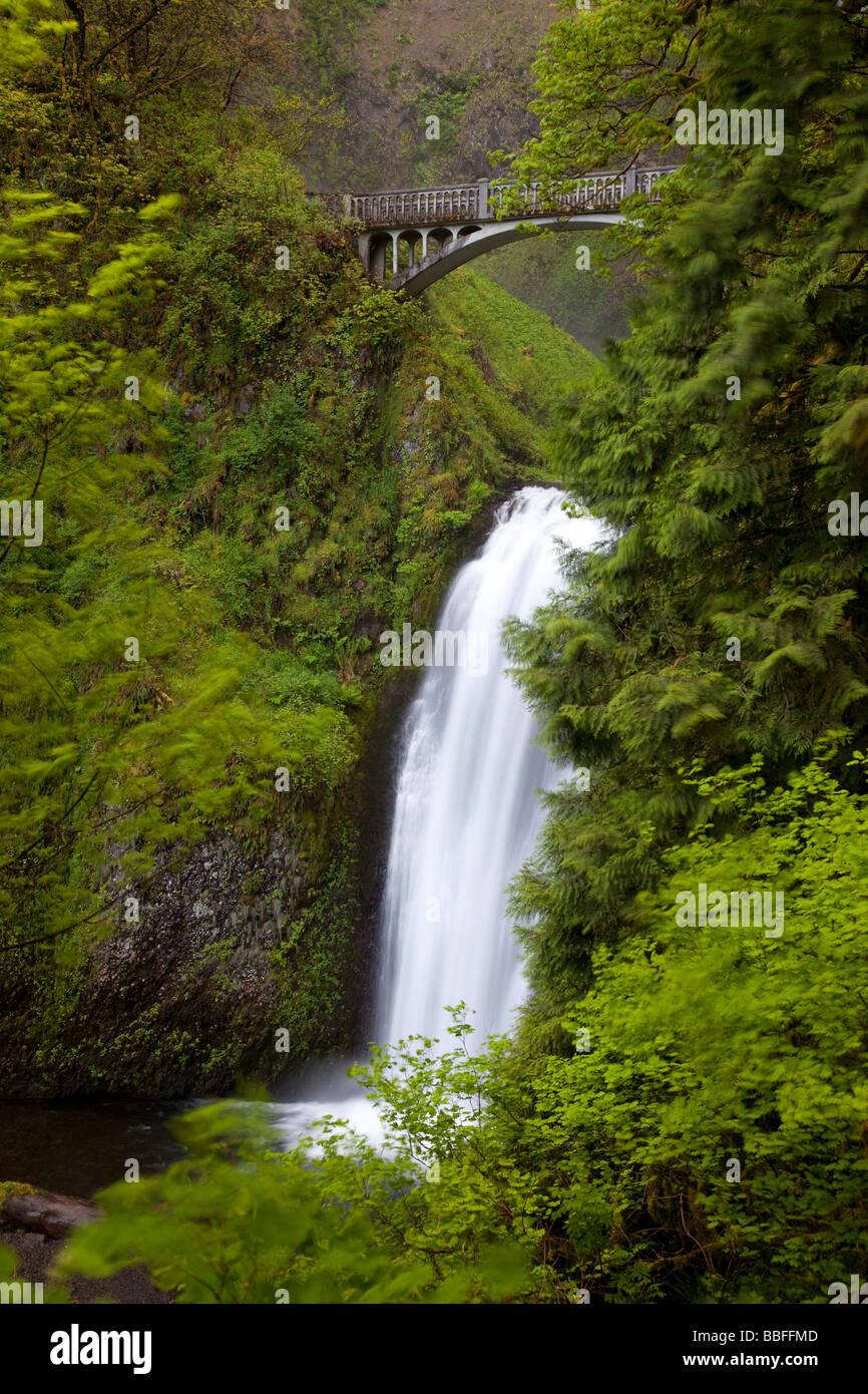 Multnomah Falls Oregon USA Stock Photo - Alamy