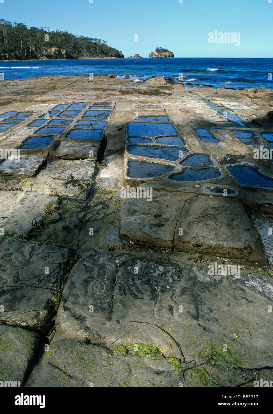 Tessellated Pavement, Tasman Peninsula, Tasmania, Australia Stock Photo ...