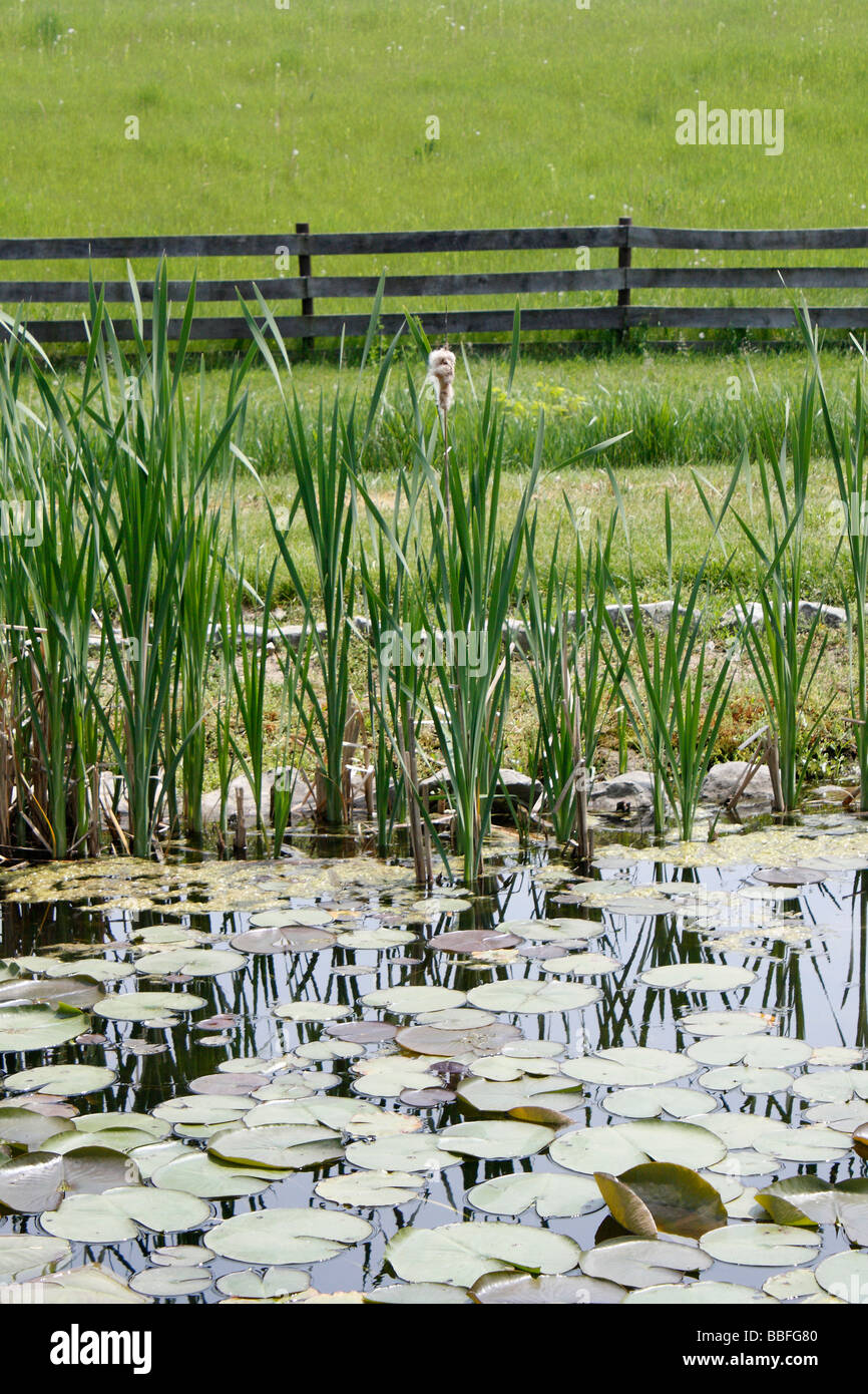 American rural landscape with pond in Sauder Village Ohio USA US from ...