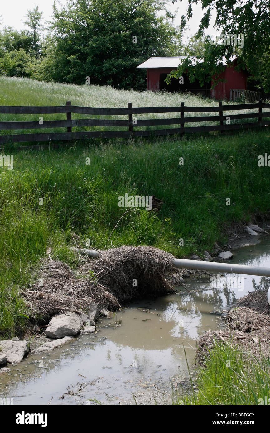 Polluted drainage hi-res stock photography and images - Alamy