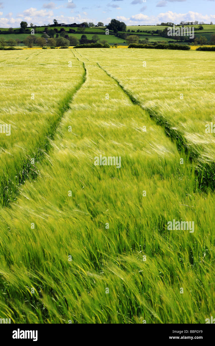 Windswept trails hi-res stock photography and images - Alamy