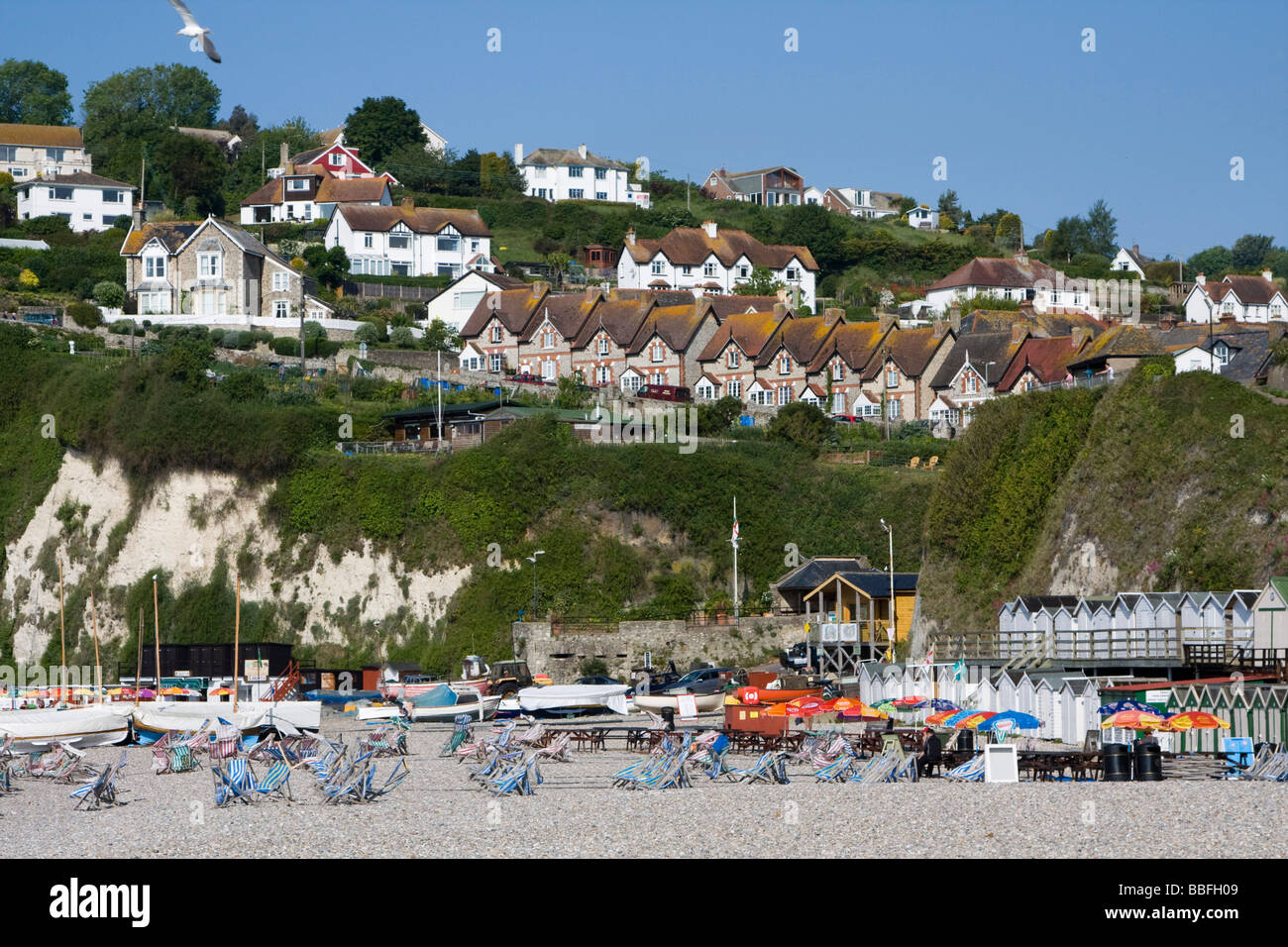 scenic beer holiday resort beach high summer seaside south devon ...