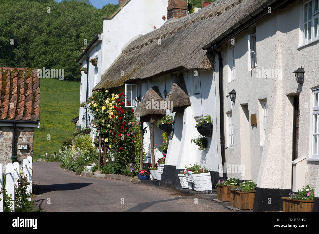 Devon cottage branscombe hi-res stock photography and images - Alamy