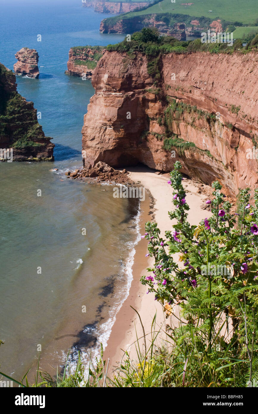 Ladram bay holiday park hi-res stock photography and images - Alamy