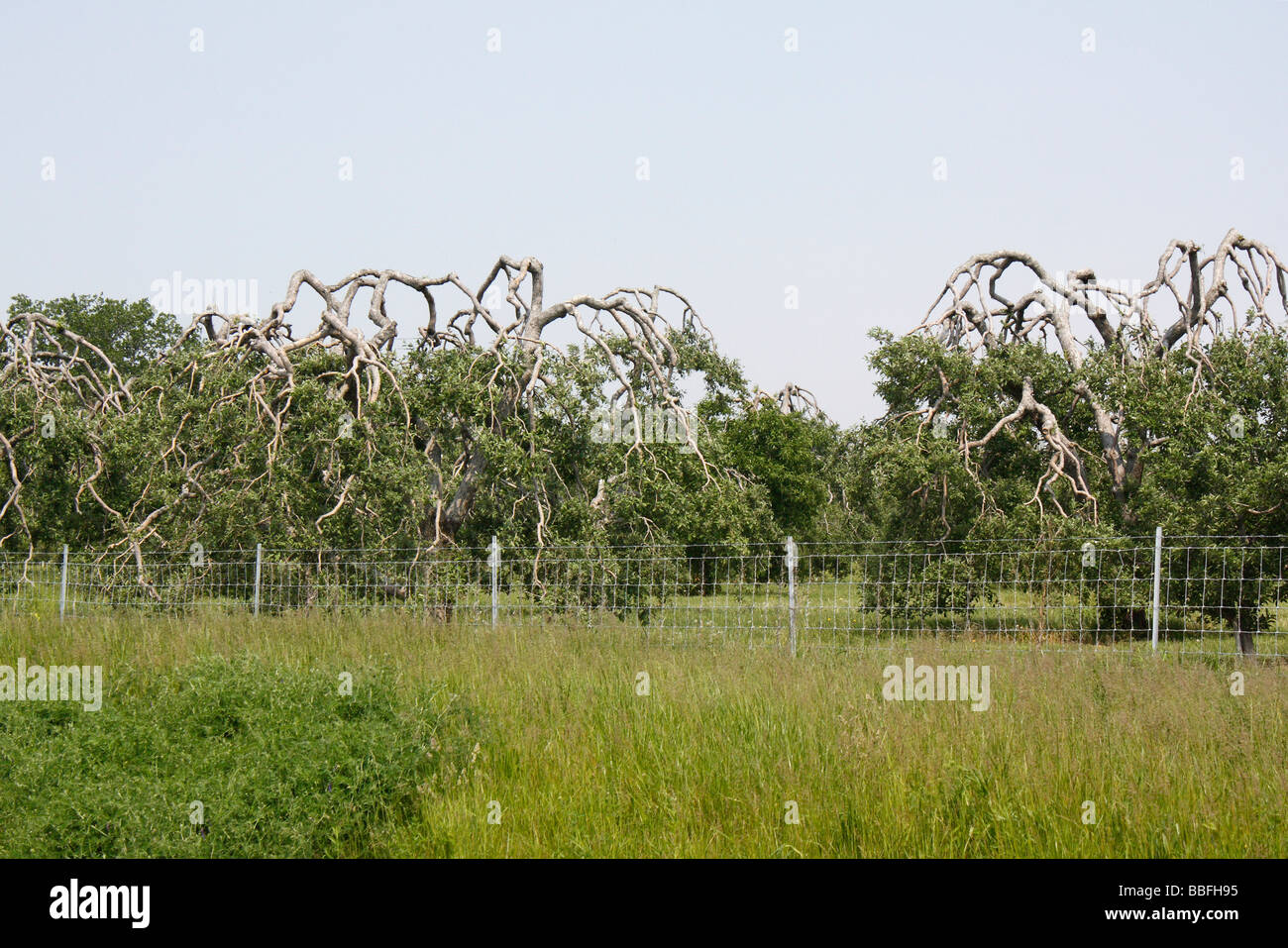 None rural hi-res stock photography and images - Alamy