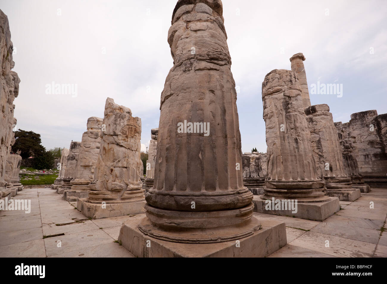 Ancient columns at the Temple of Apollo ruins of Didyma in Turkey Stock ...