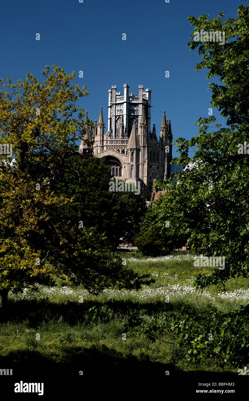 Ely cathedral snow winter hi-res stock photography and images - Alamy