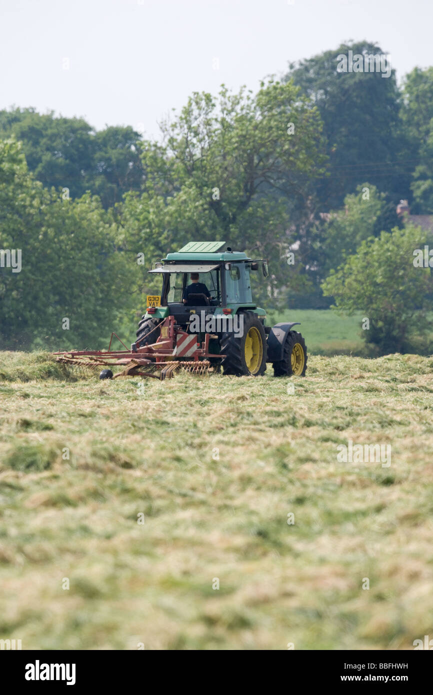Tractor Turning Grass Ready To Make Silage Stock Photo - Alamy