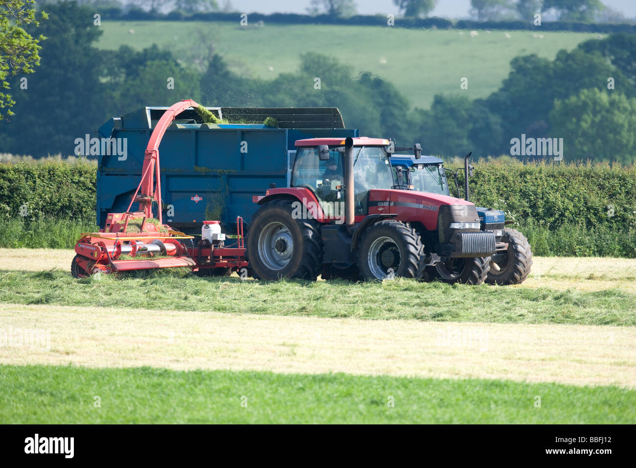 Agriculture silage field hi-res stock photography and images - Alamy