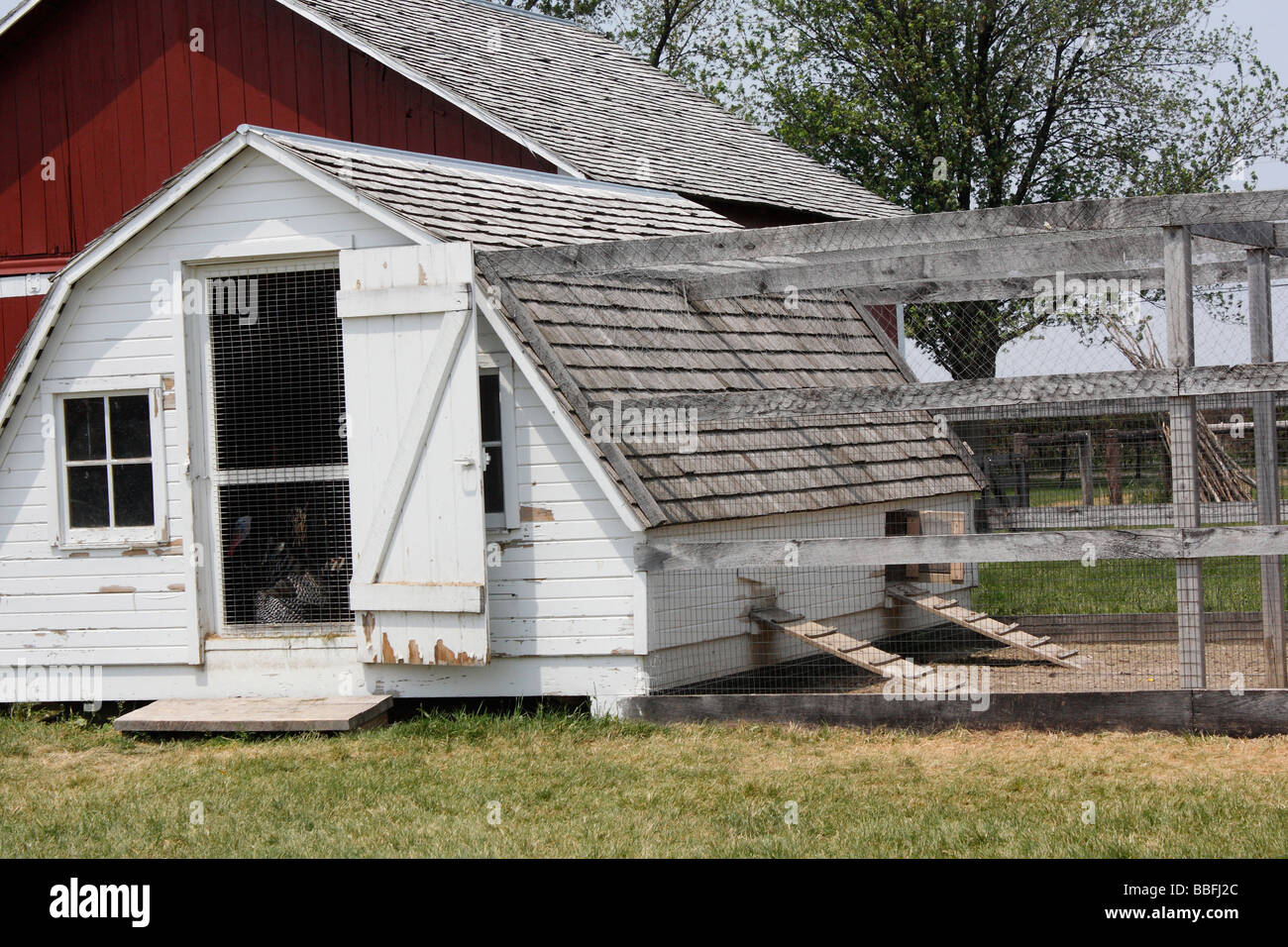 Chicken farm in USA historical farming cop and animalrural Ohio nobody ...