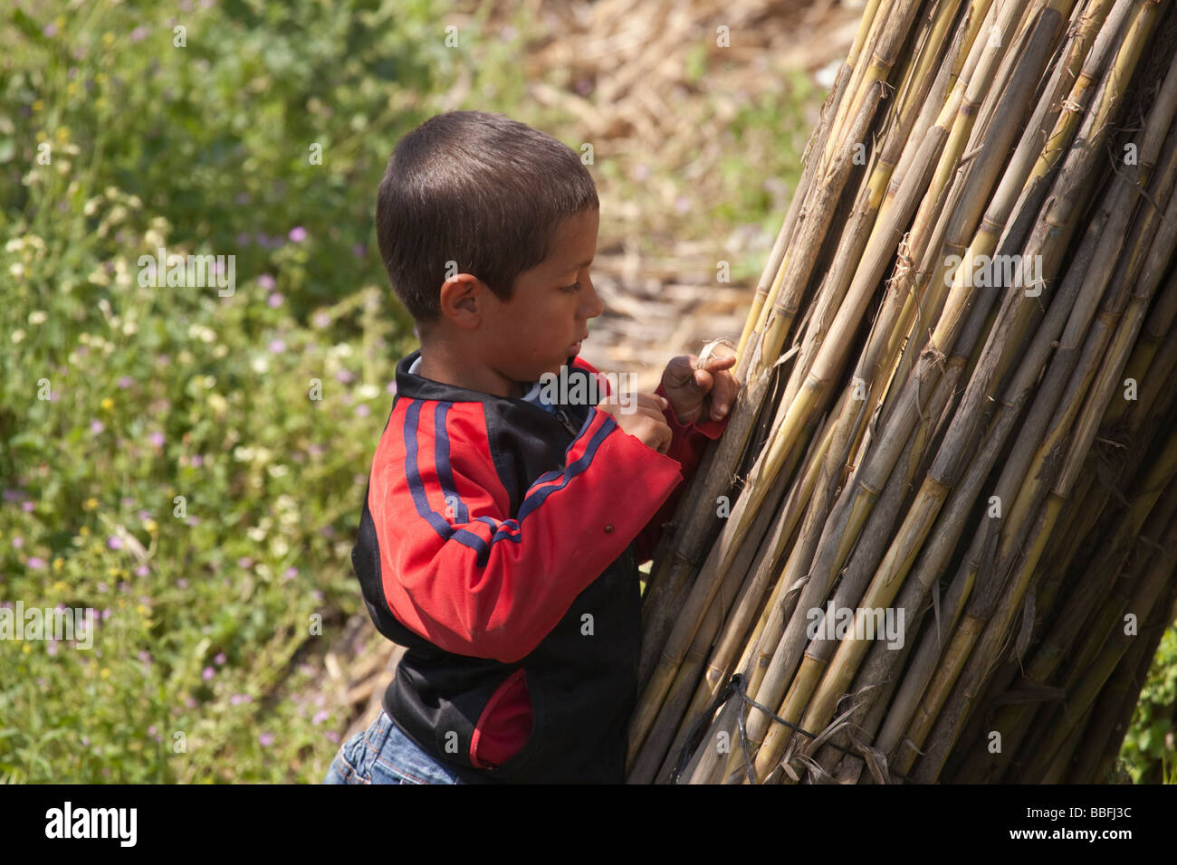 Gypsy boy hi-res stock photography and images - Alamy