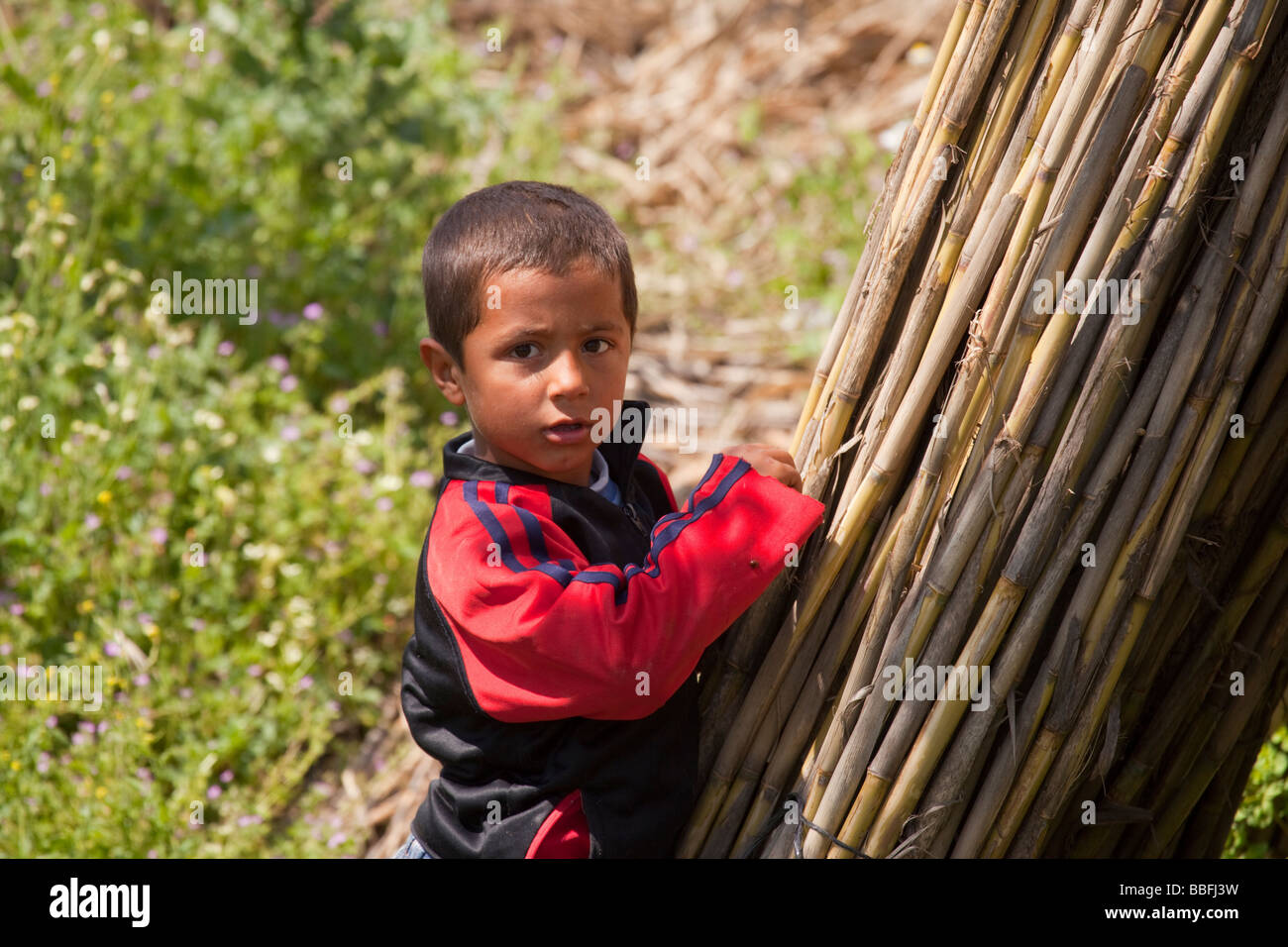Young gypsy boy poses next to a pile of cane in western Turkey Stock ...