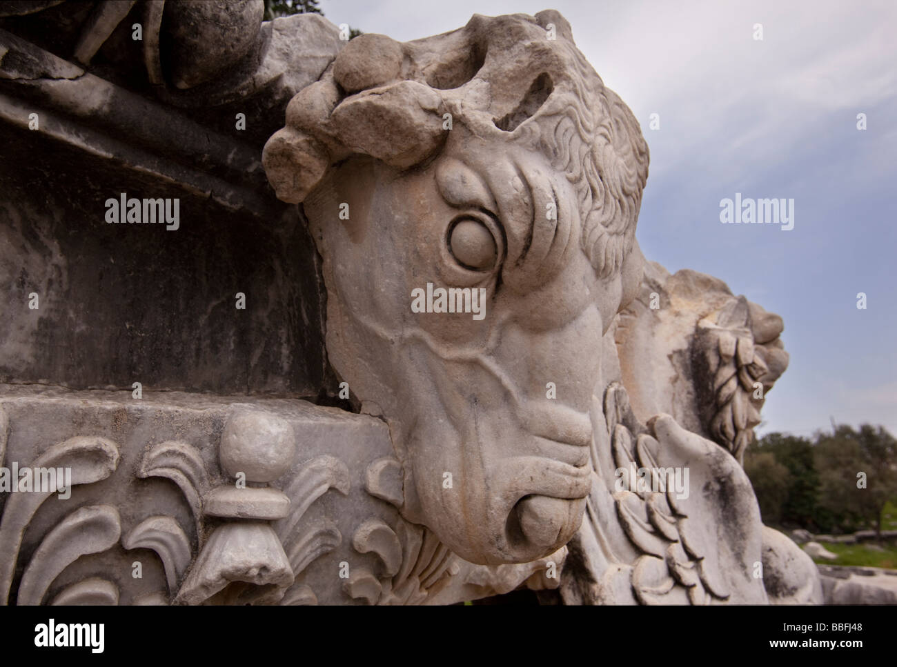 Ancient bull head sculpture from the top of a column in Mileus Turkey ...