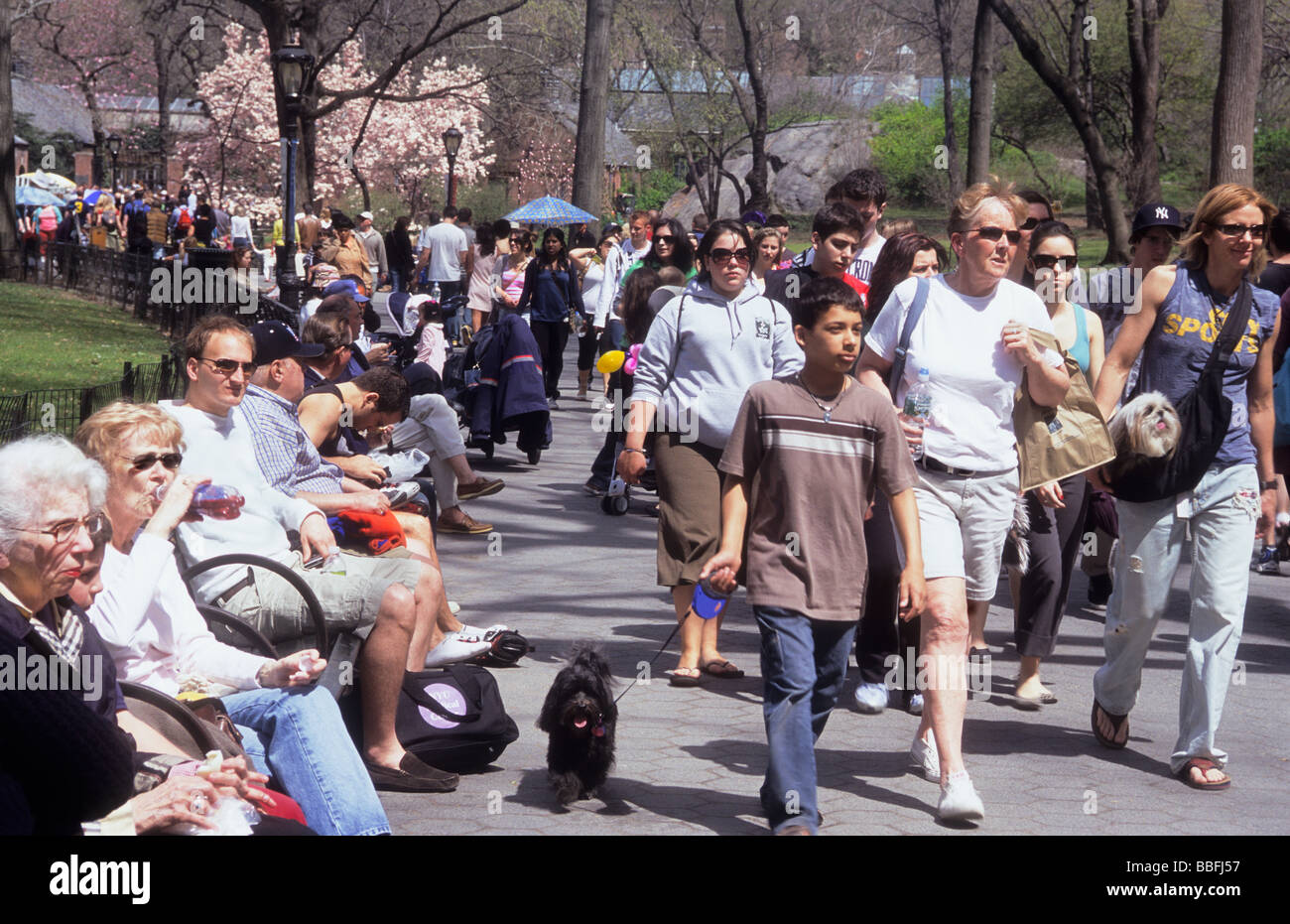 Zoo central park new york city hi-res stock photography and images - Alamy
