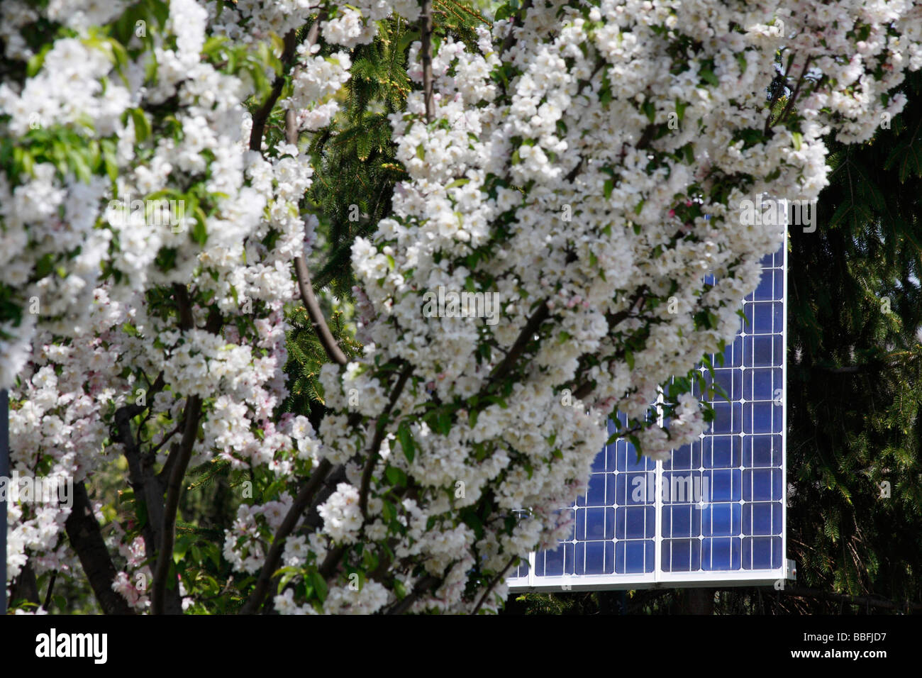 Collector hi res hi-res stock photography and images - Alamy