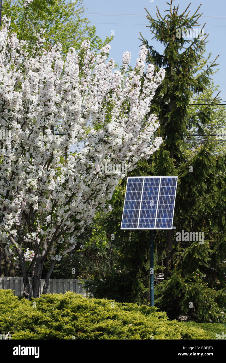 The energy one solar panel domestic power green energy in the garden ...