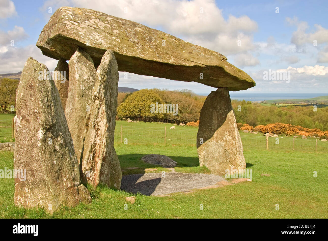 Pentre Ifan Burial Chamber Stock Photo - Alamy