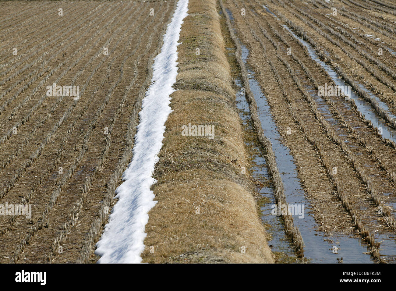 Remaining Snow On Field Stock Photo - Alamy