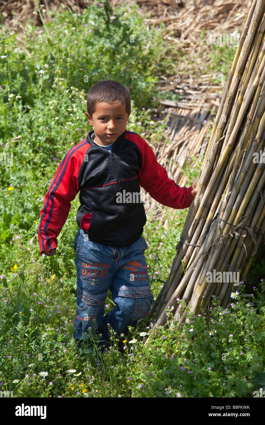 Young gypsy boy poses next to a pile of cane in western Turkey Stock ...