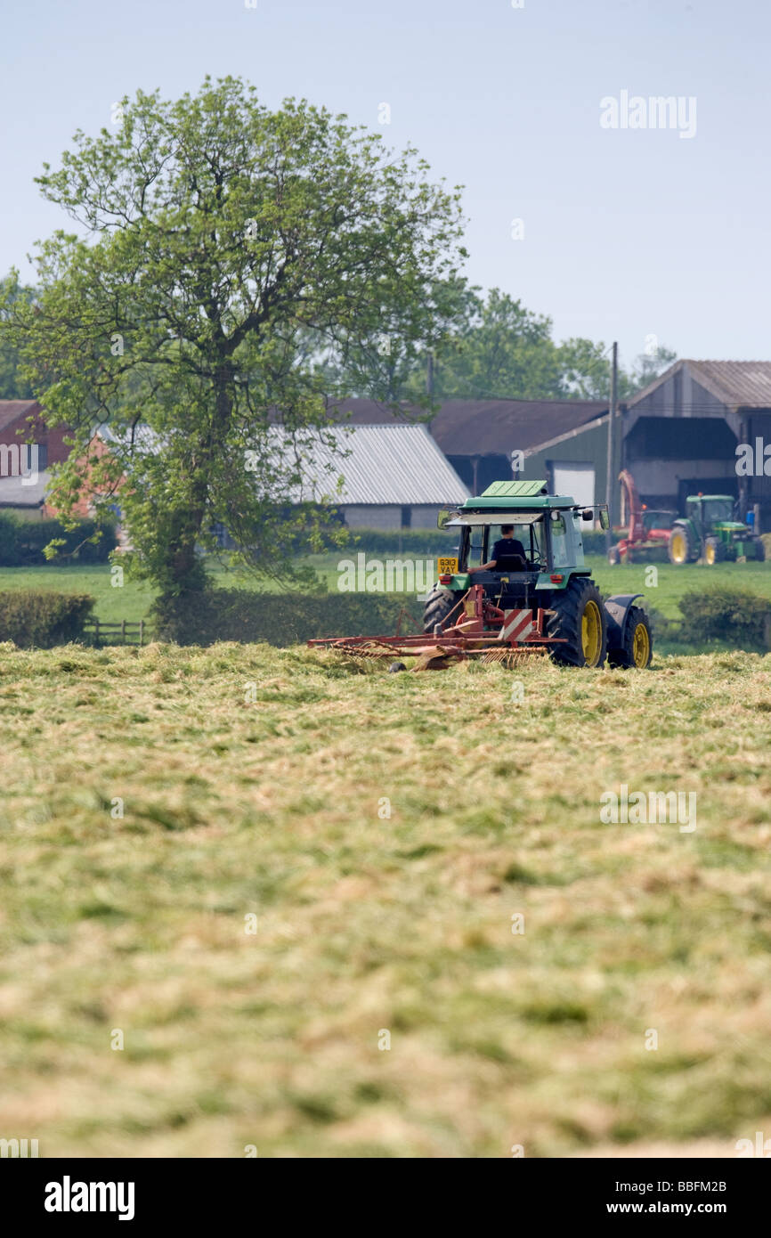 Tractor Turning Grass Ready To Make Silage Stock Photo - Alamy