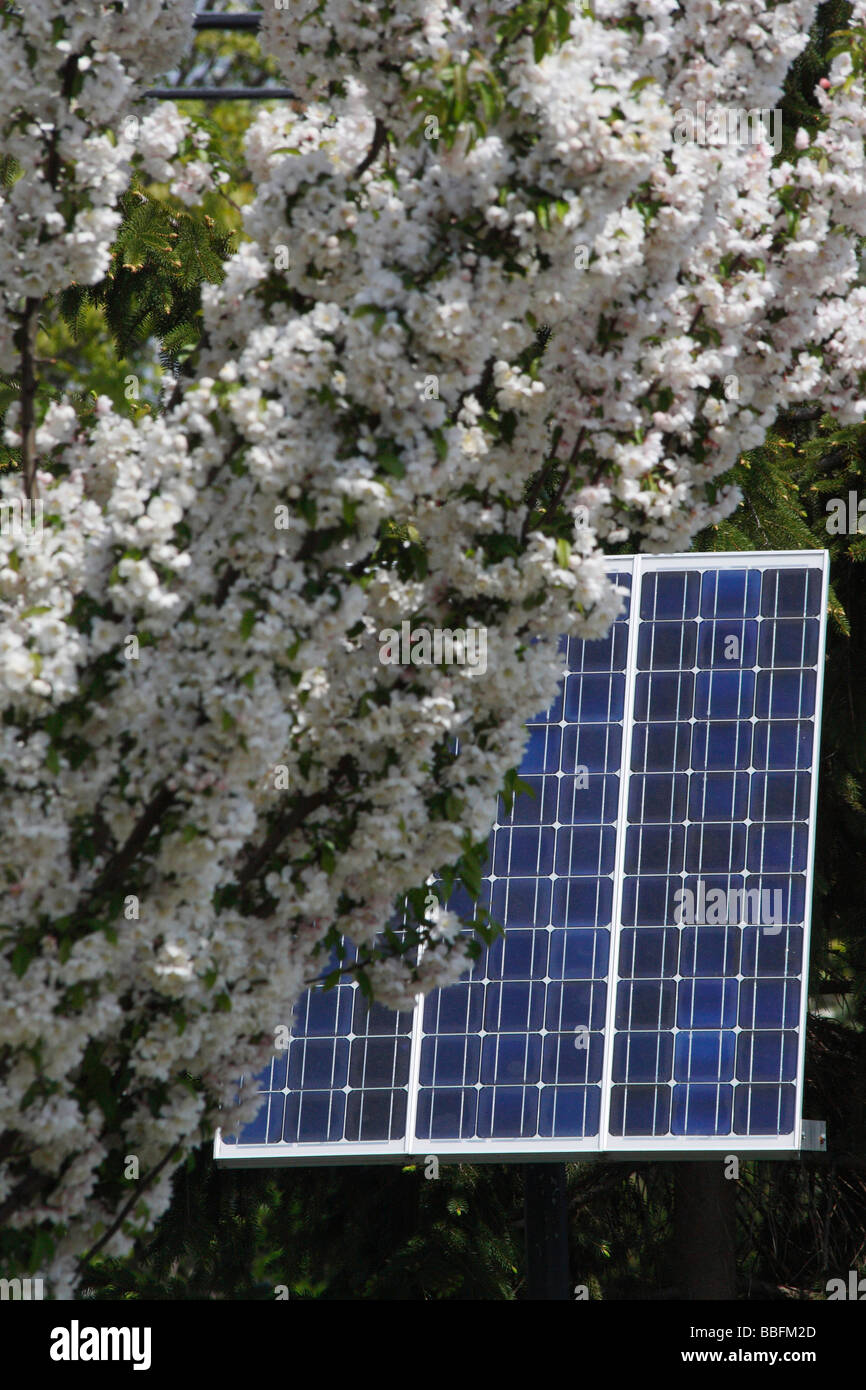 The energy one solar panel domestic power green energy in the garden ...