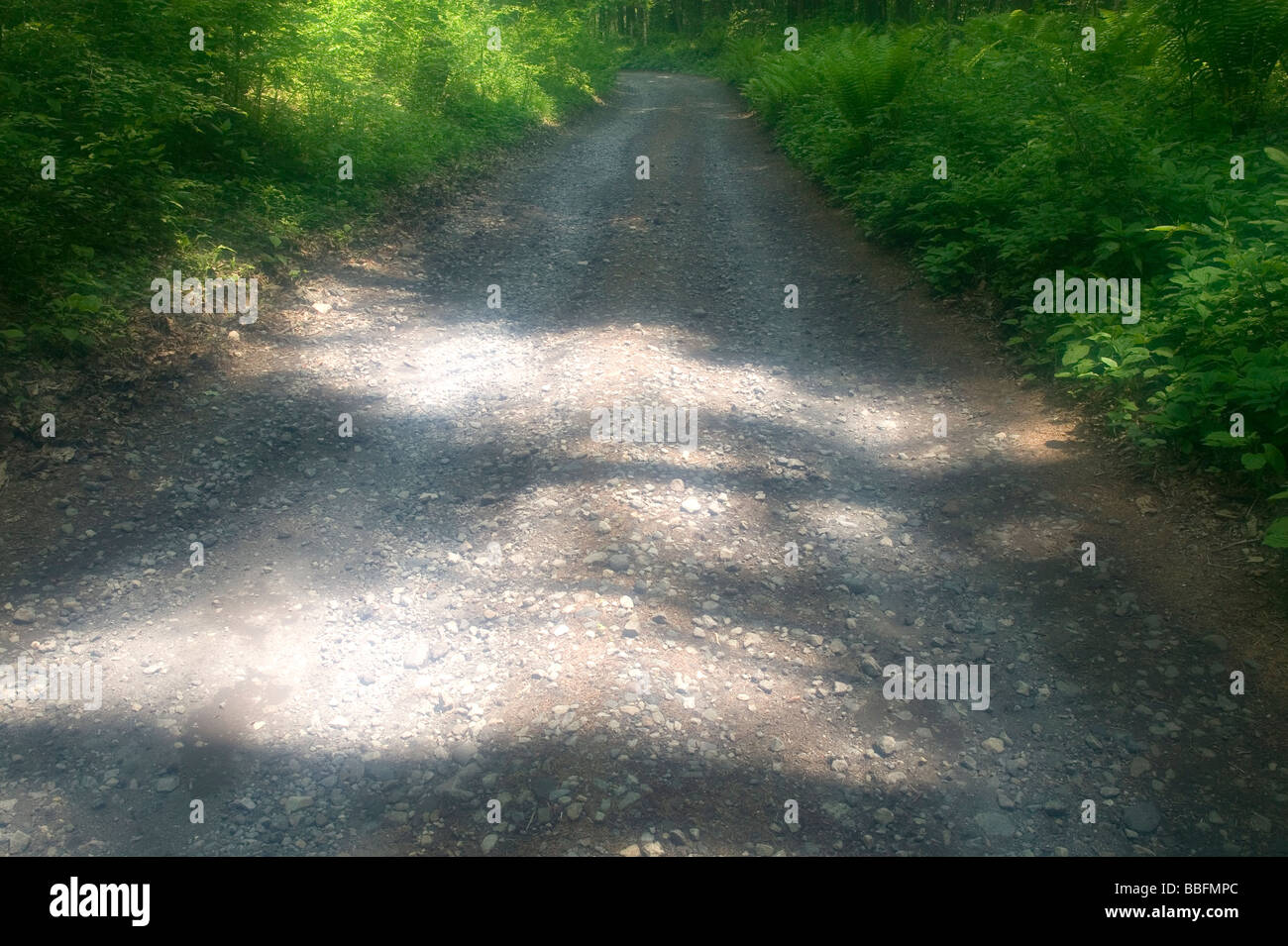 Path In Countryside Stock Photo - Alamy