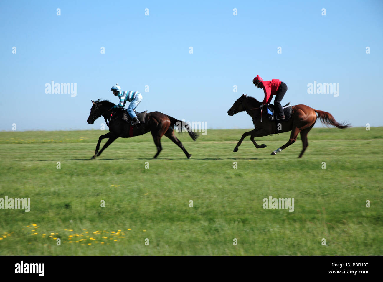 Two race horses hi-res stock photography and images - Alamy