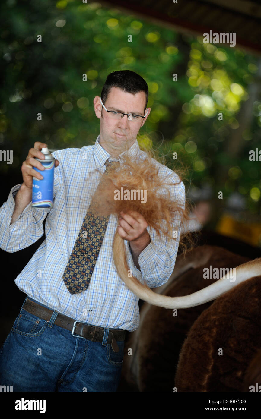 Using show cane or stick hi-res stock photography and images - Alamy
