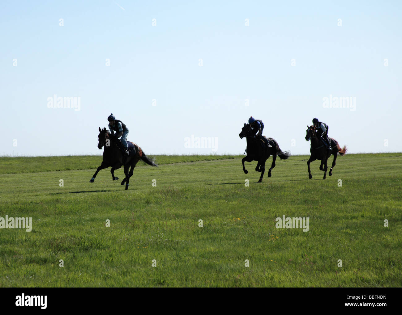 Three horses galloping across field Stock Photo - Alamy