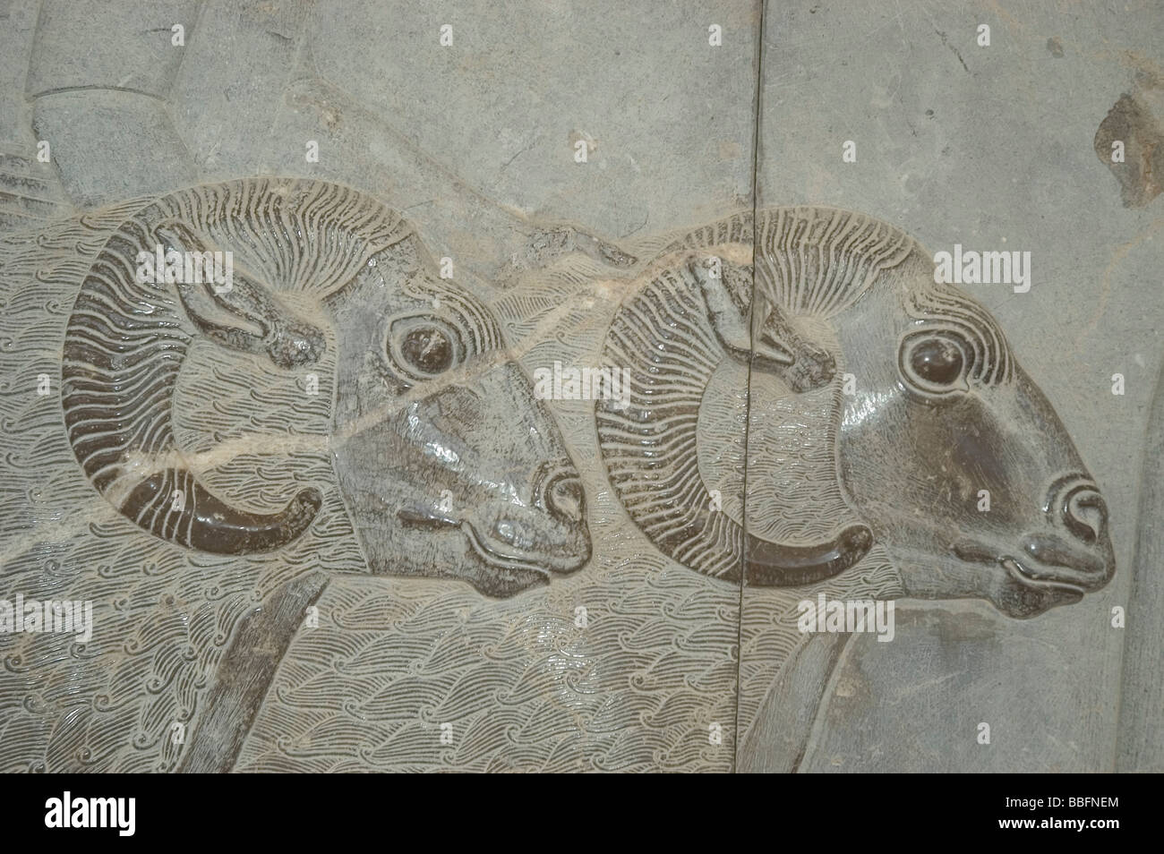 Rams head detail from a carved bas relief depicting envoys from one of ...