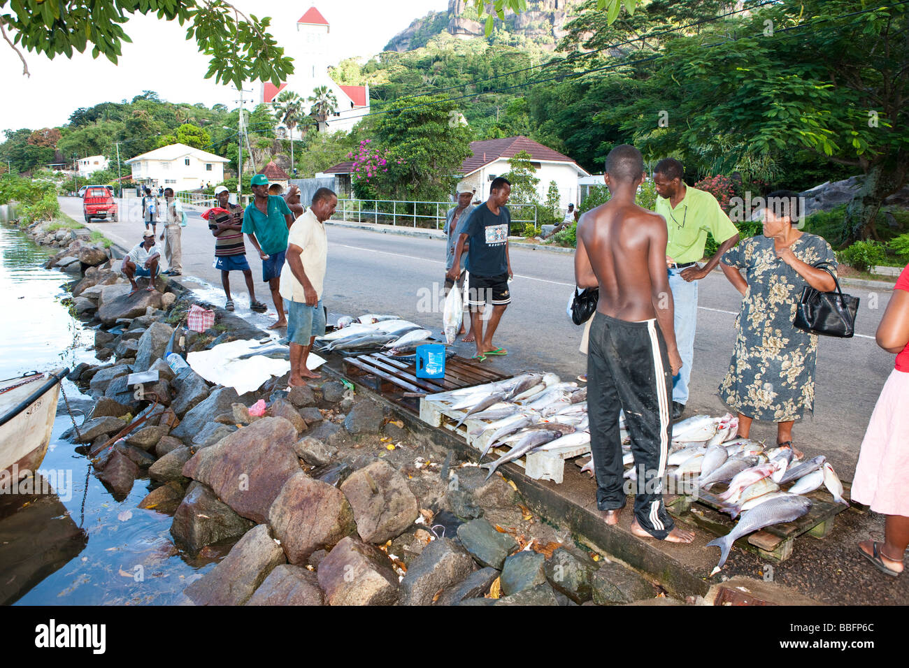Fishermen selling their freshly caught fish at the main road, Mahe ...