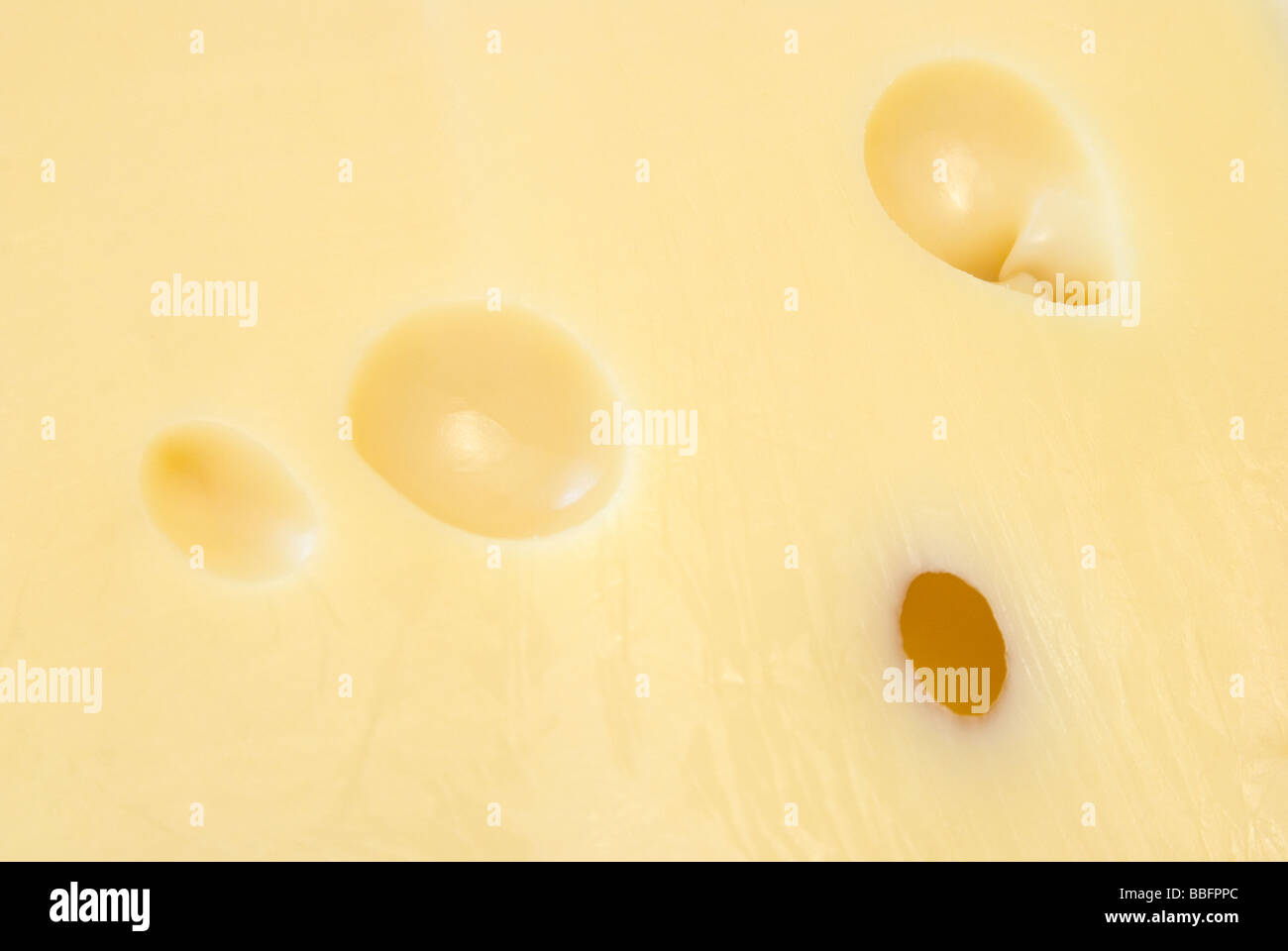 Emmental cheese closeup Stock Photo - Alamy