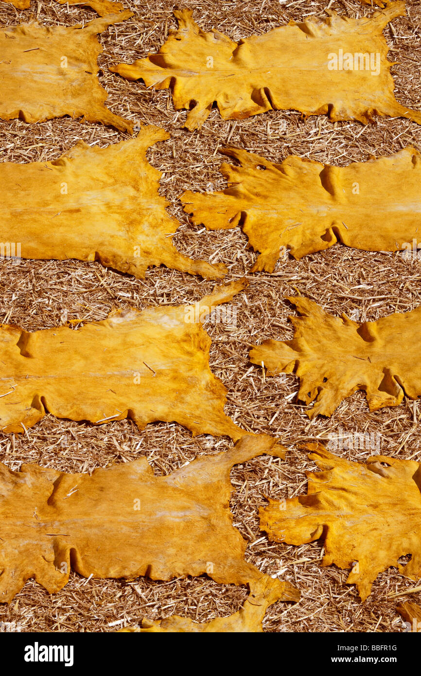 Old Tanned Hides High Resolution Stock Photography and Images - Alamy