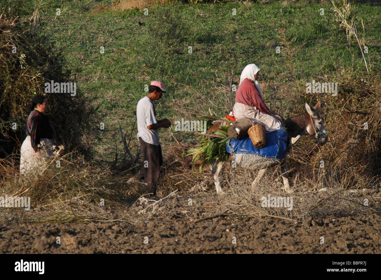 Donkey ride woman hi-res stock photography and images - Alamy