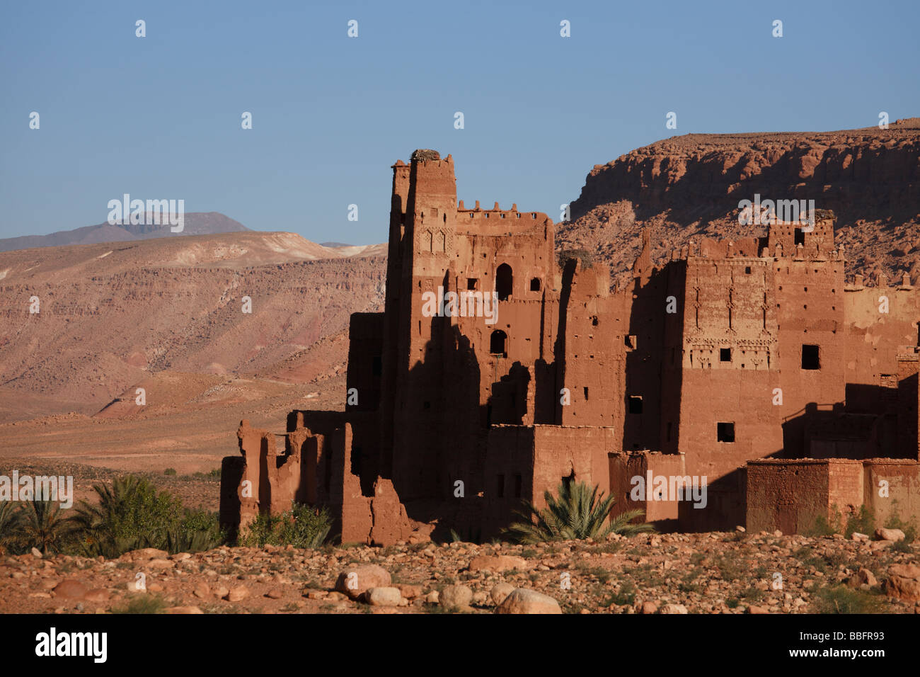Hammada desert hi-res stock photography and images - Alamy