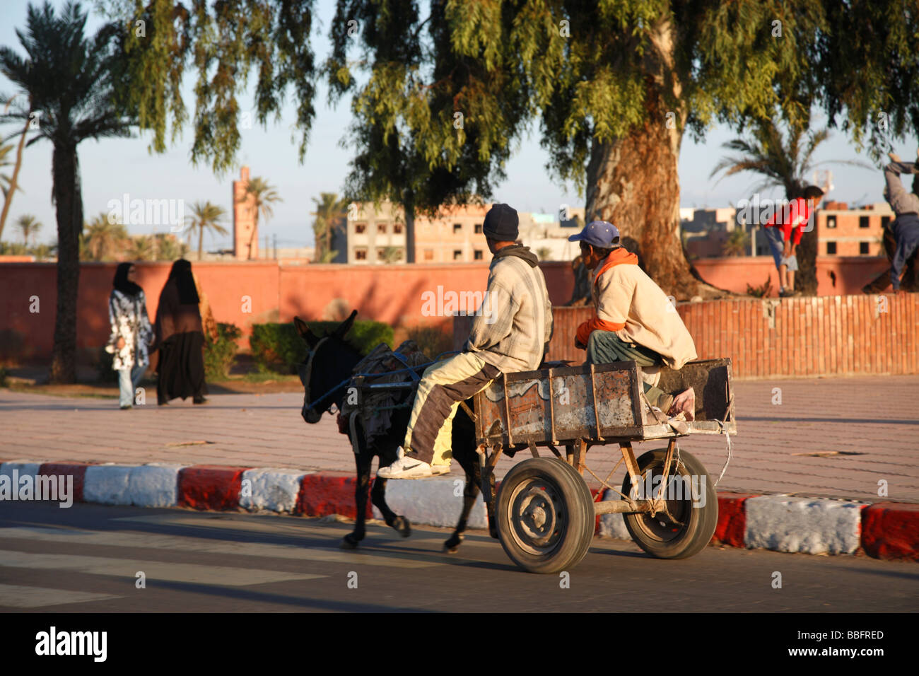 Africa, North Africa, Morocco, Marrakech, Medina, Donkey and Cart Stock ...