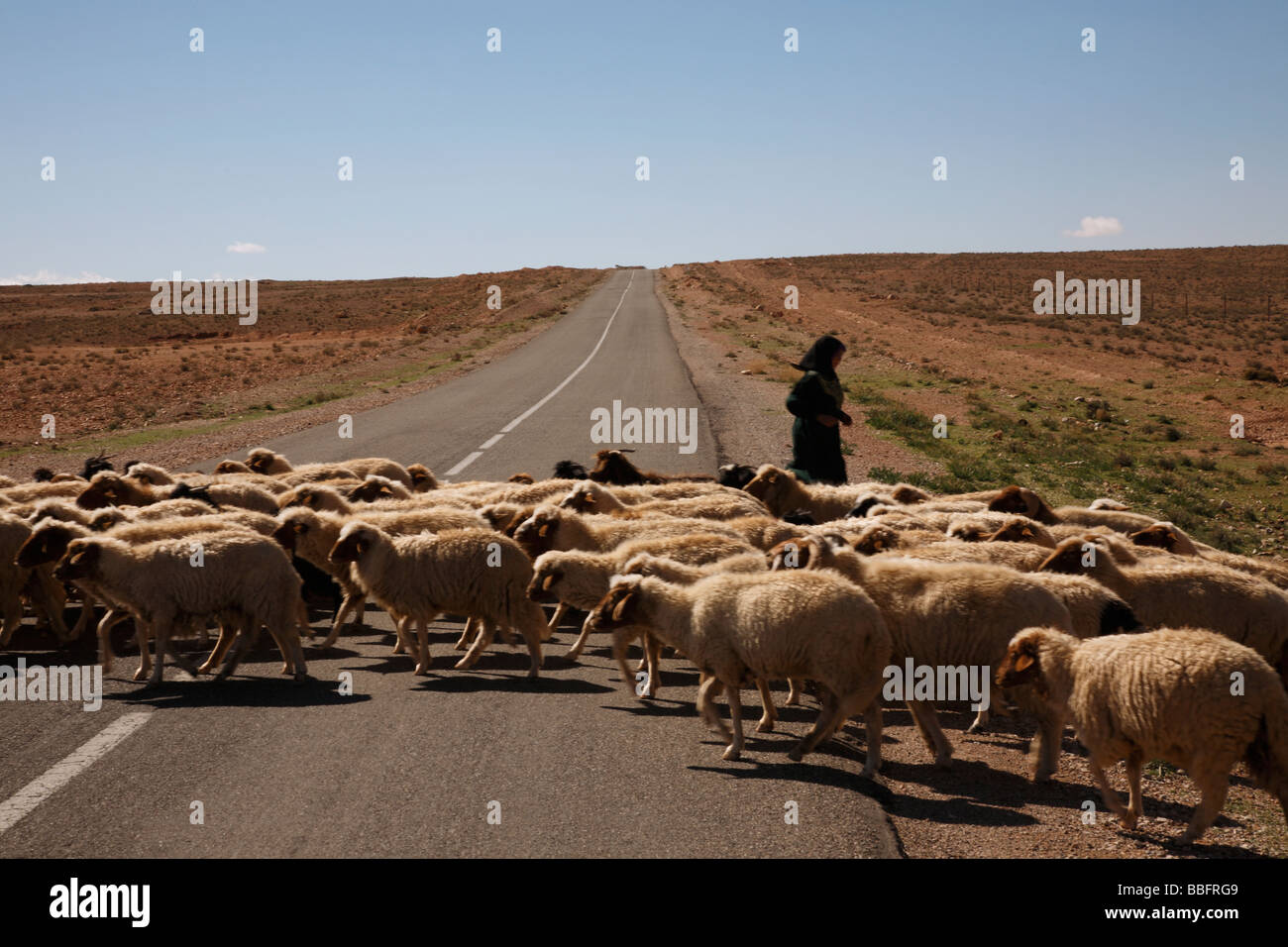 Africa, North Africa, Morocco, High Atlas Mountains, Dades Valley ...