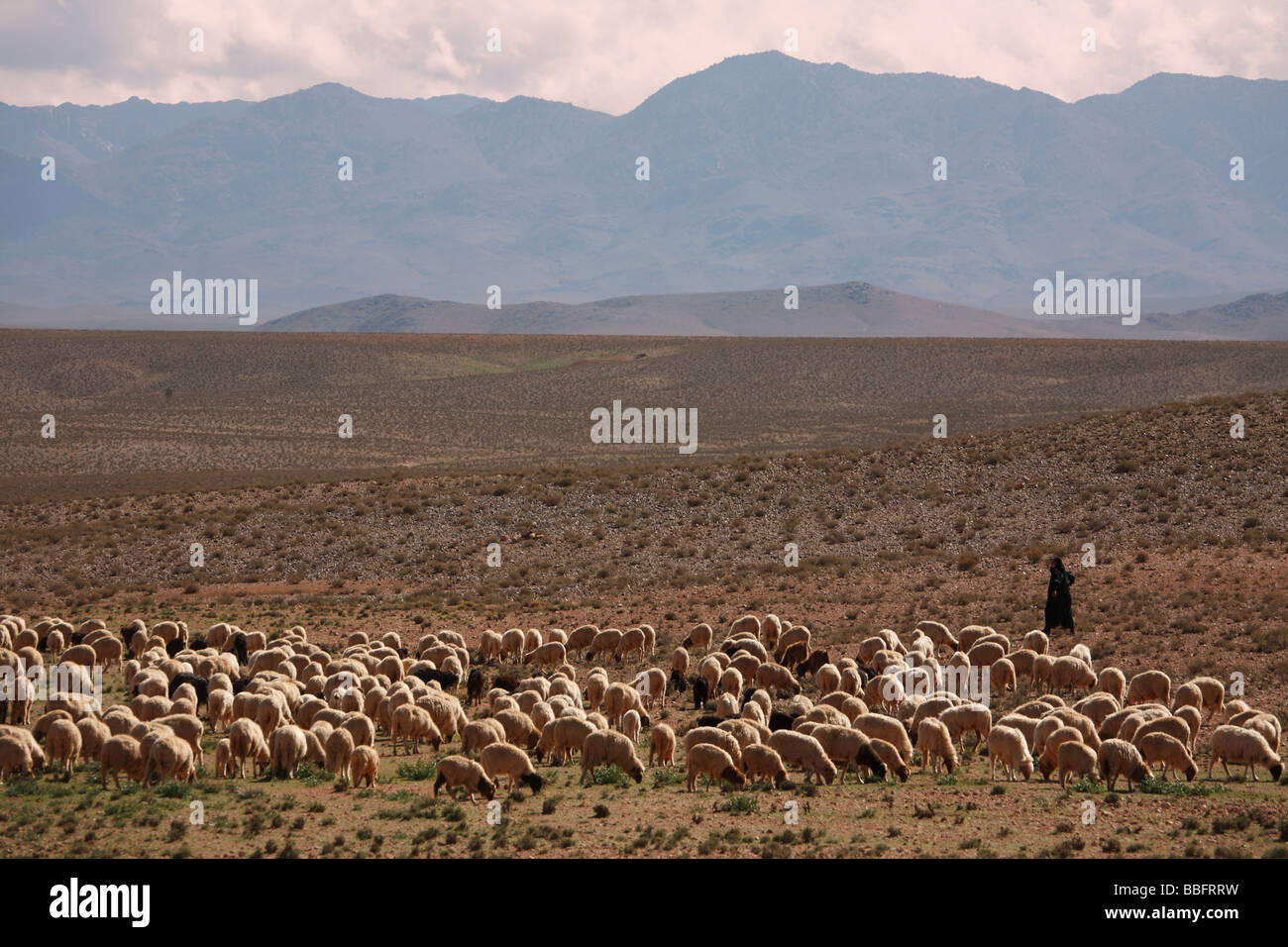 Women farming morocco hi-res stock photography and images - Alamy
