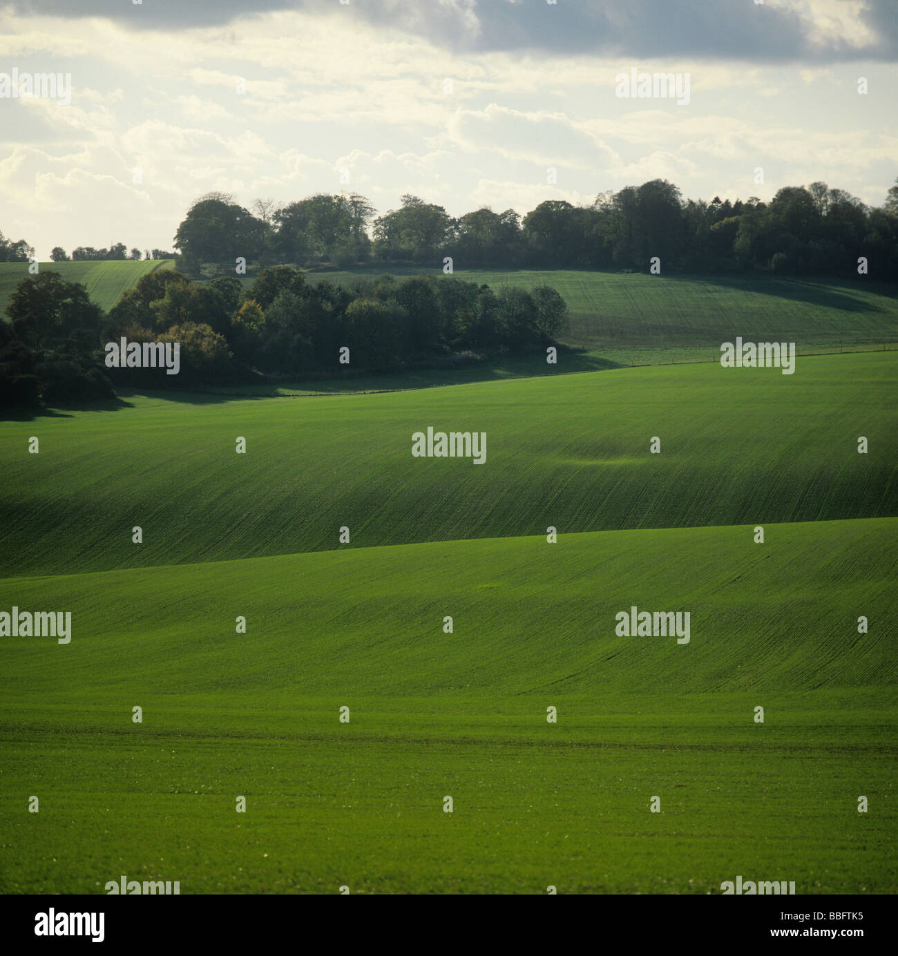 Rolling field hi-res stock photography and images - Alamy