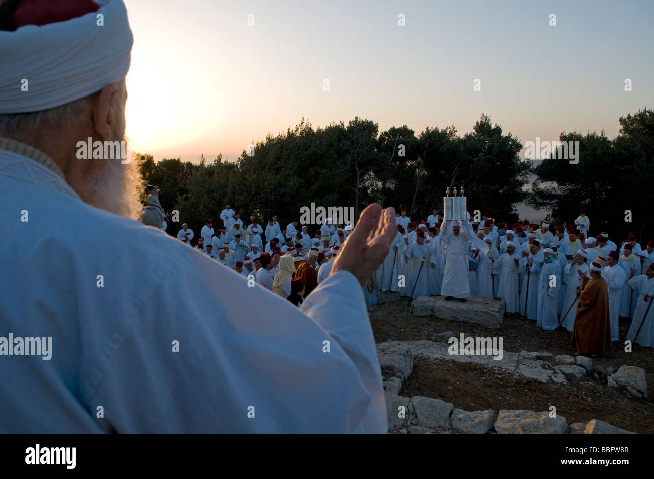 A Samaritan high priest raises a Torah scroll during Shavuot or Feast ...
