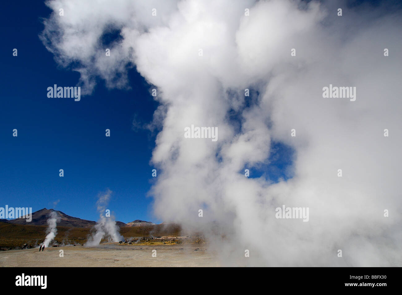 Geysers in Tatio, Chile Stock Photo - Alamy