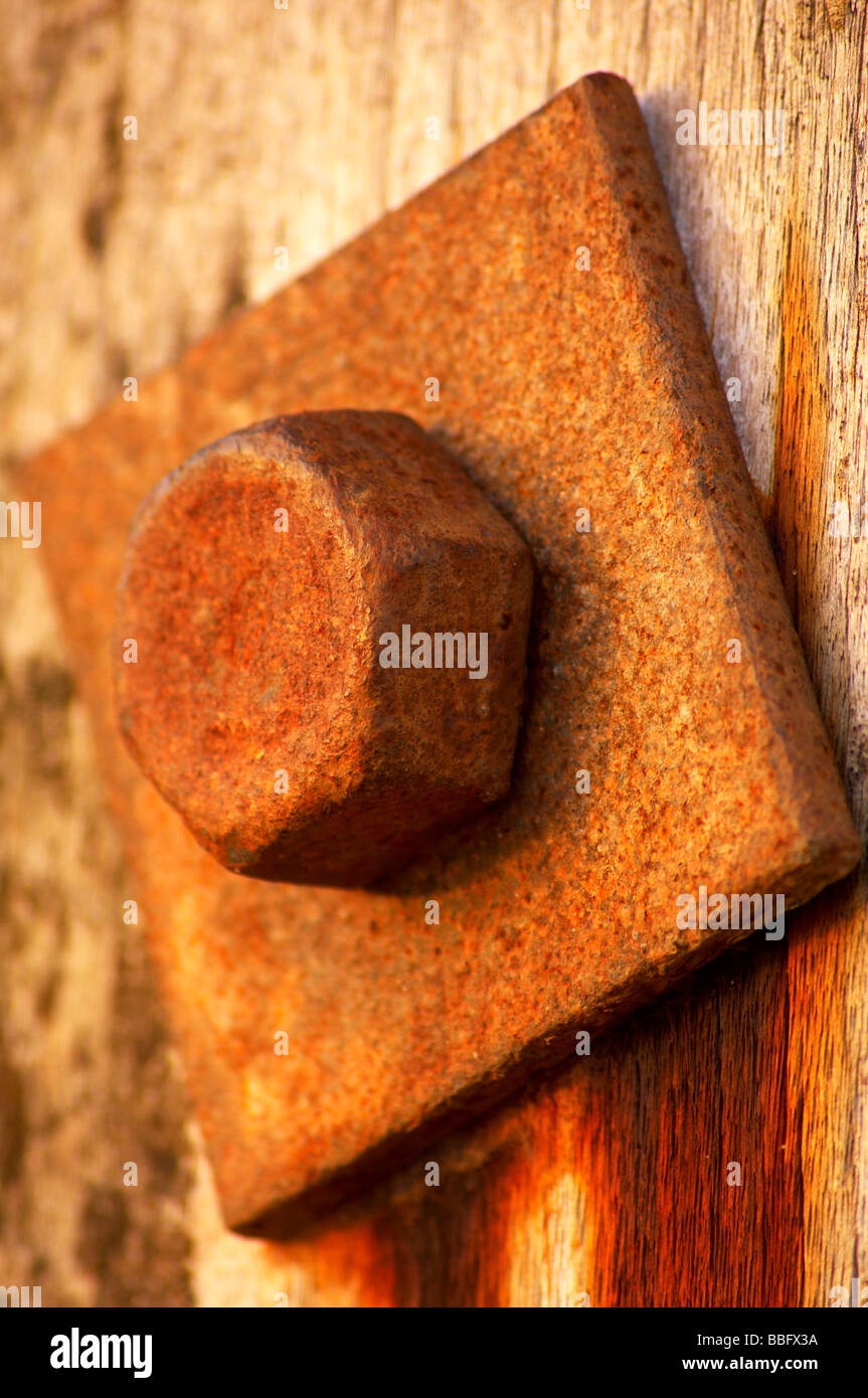 Rusty bolt in old timber groyne on the coastline at Dawlish Warren ...